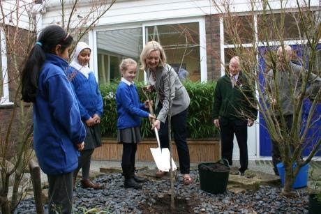 Join the school tree planting project | News & Ideas | School Travel ...