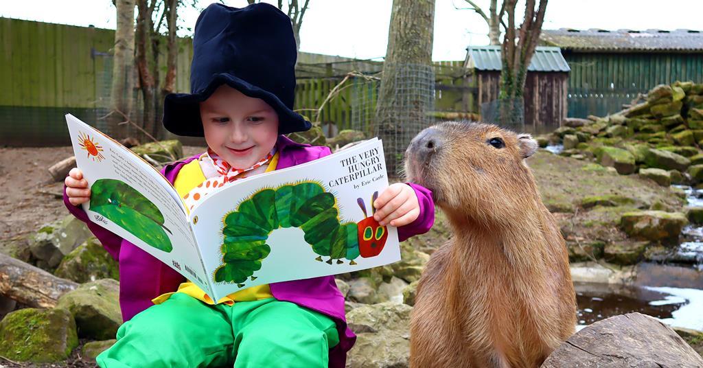 School children read stories to zoo animals on World Book Day | News ...