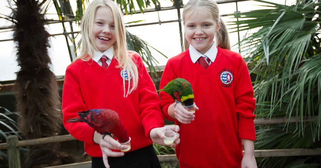 7 places for fantastic school trips in England | Features | School ...