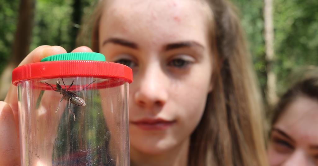 Field Studies Council: celebrating 80 years and 3.7 million student ...