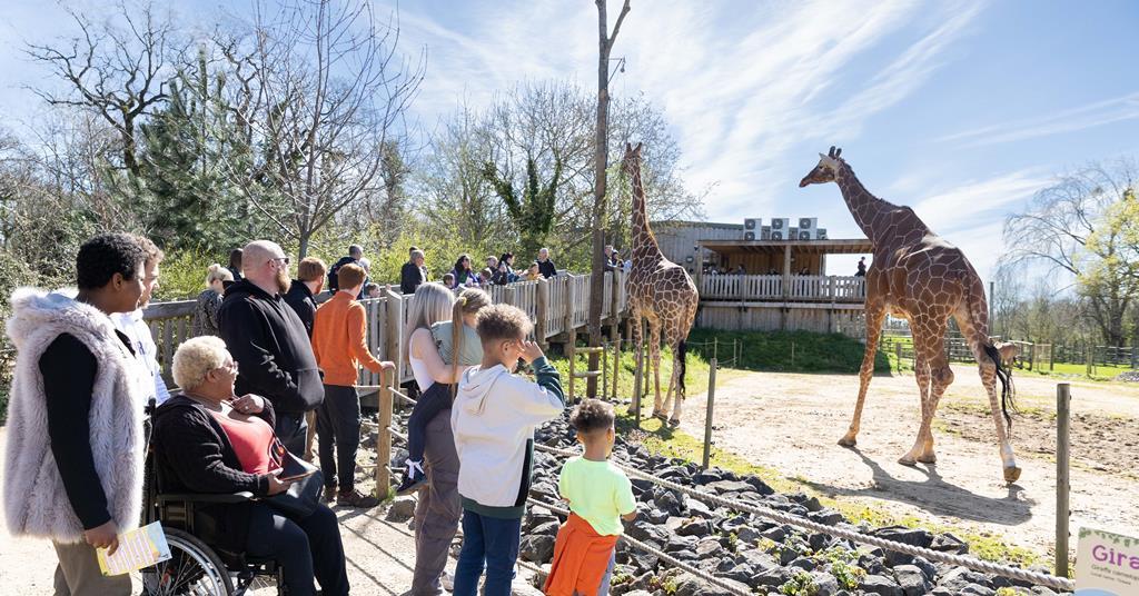 Bristol Zoo African Forest classroom opens for school visits 2026 ...