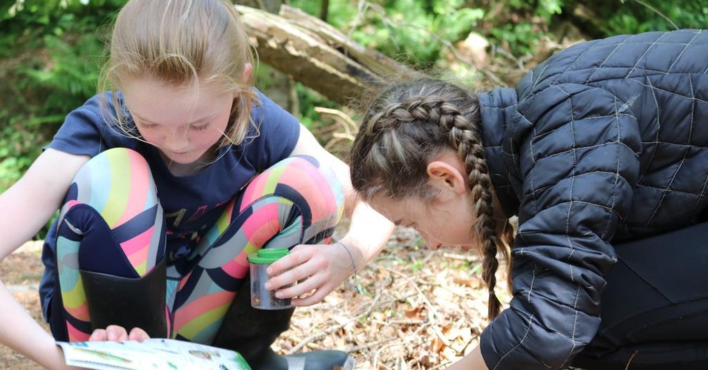 Field Studies Council: celebrating 80 years and 3.7 million student ...