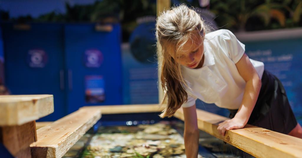 How SEA LIFE centres bring climate change impact to life | Sponsored ...