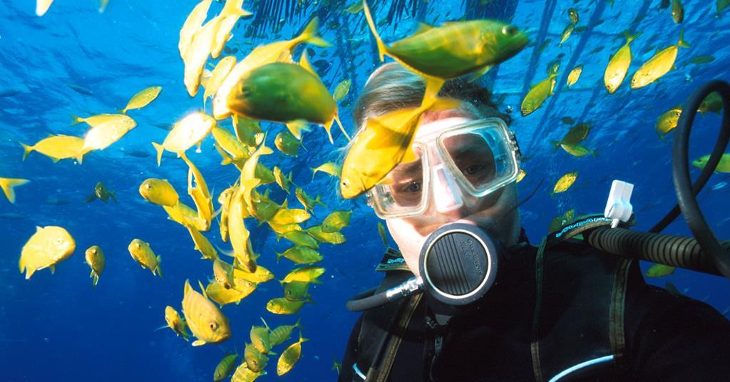 5 expedition trips for schools planning ahead | Features | School ...