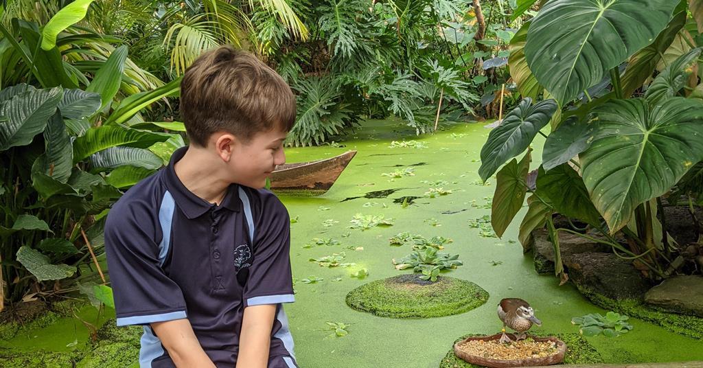 School trip to the Living Rainforest in Berkshire | School Travel Organiser