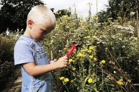 RSPB’s Wild Challenge encourages pupils to embrace nature | News ...