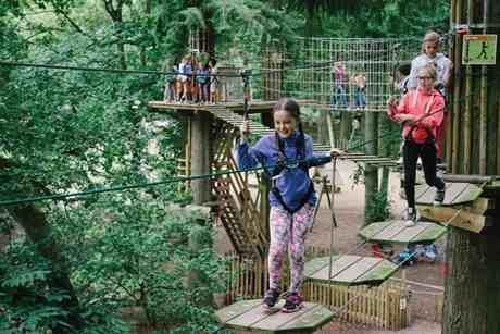 Go Ape offers free forest school learning resources | News & Ideas ...