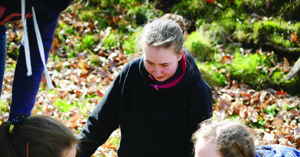 How to use forests and woodlands to support GCSE studies | Features ...