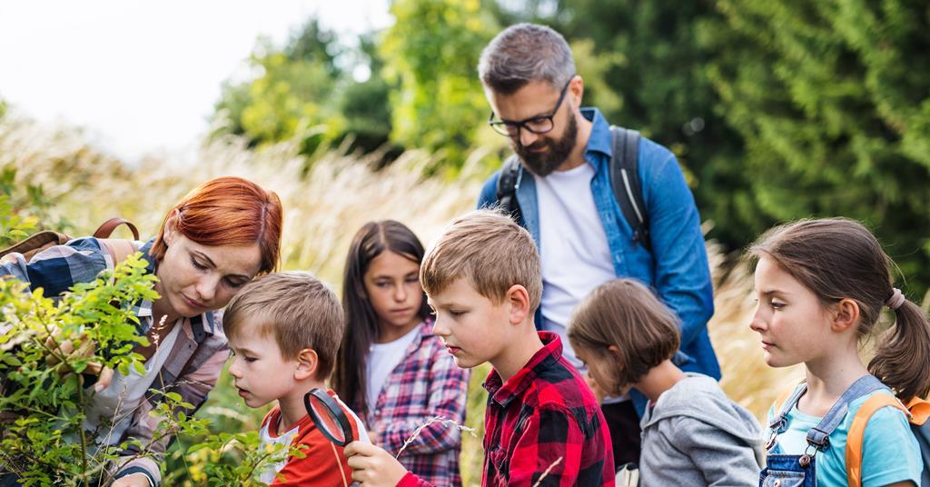 Charity Urges UK Government to Guarantee Access to Outdoor Learning for ...