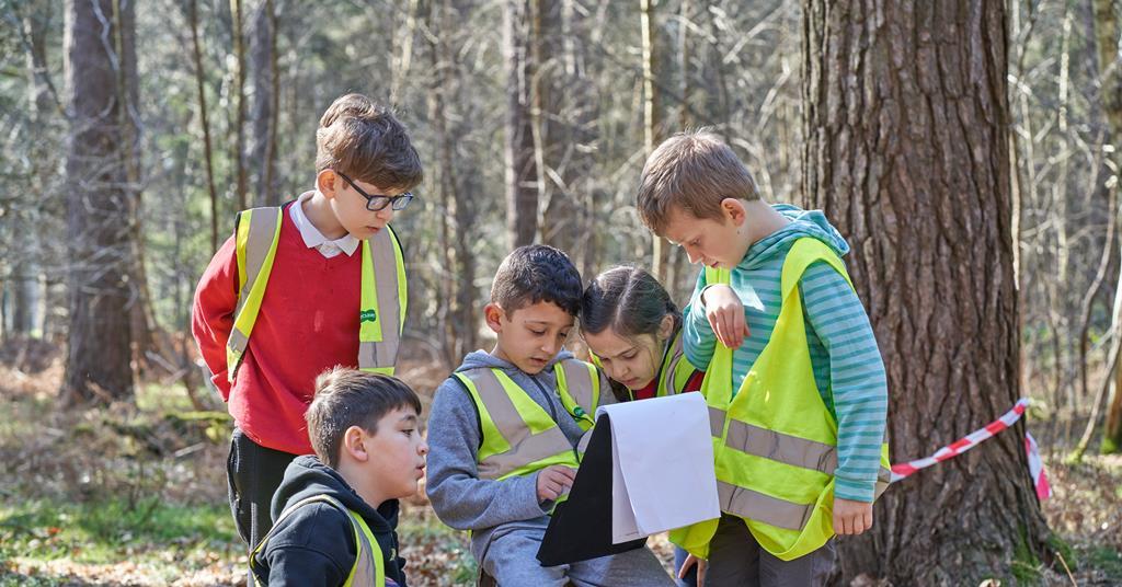Forestry England’s ‘ranger in a bag’ to help teachers lead trips ...