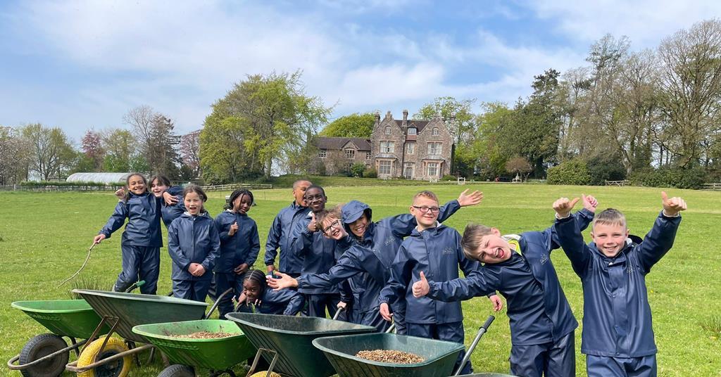 Farms for City Children’s CEO on helping more pupils | Interview ...