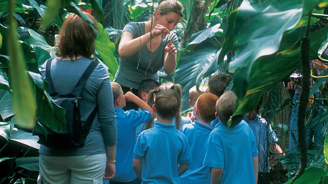 5 Geography school trip ideas to help students make sense of the world ...