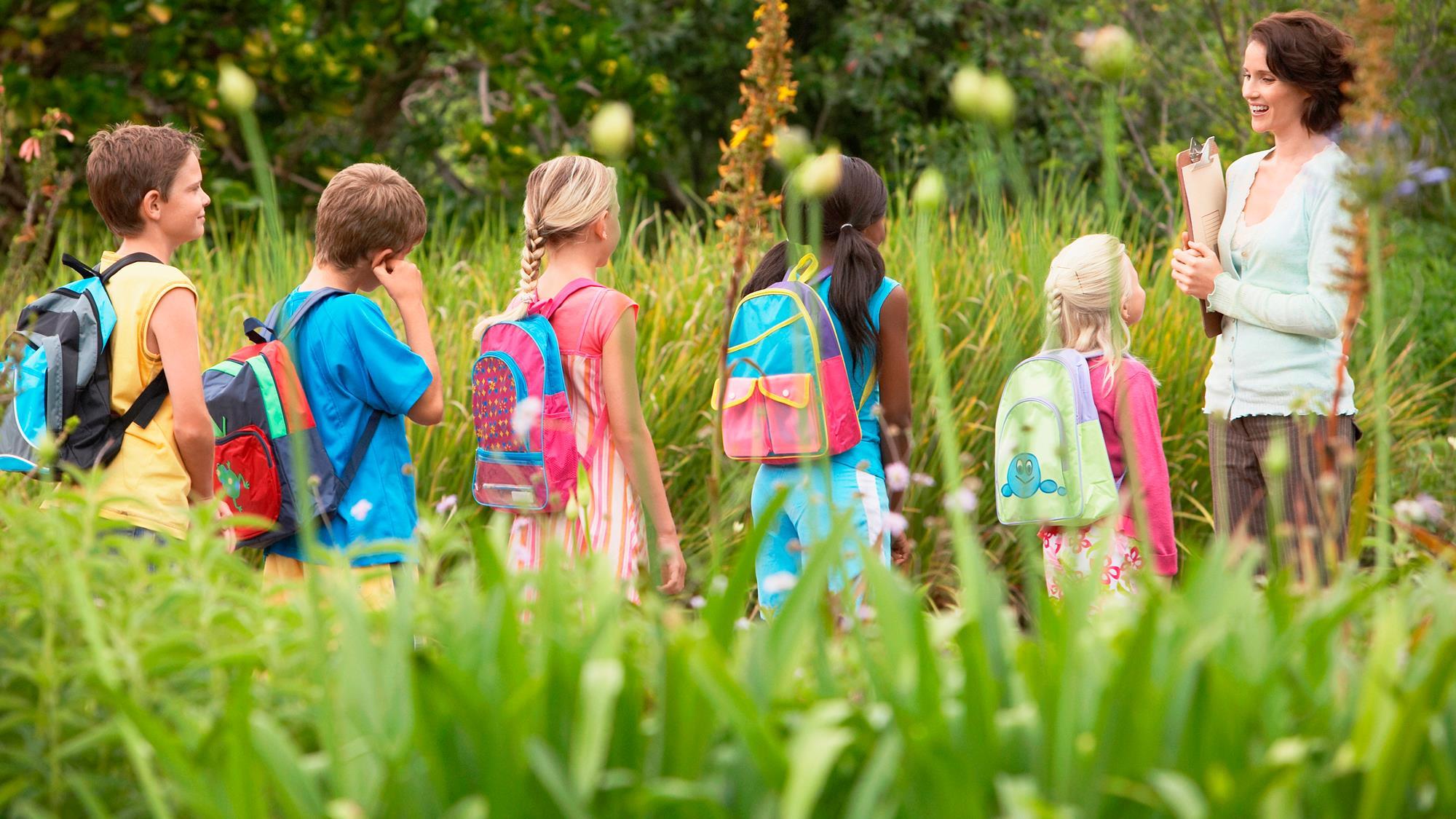 What an Educational Visits Co-ordinator should know | Features | School ...