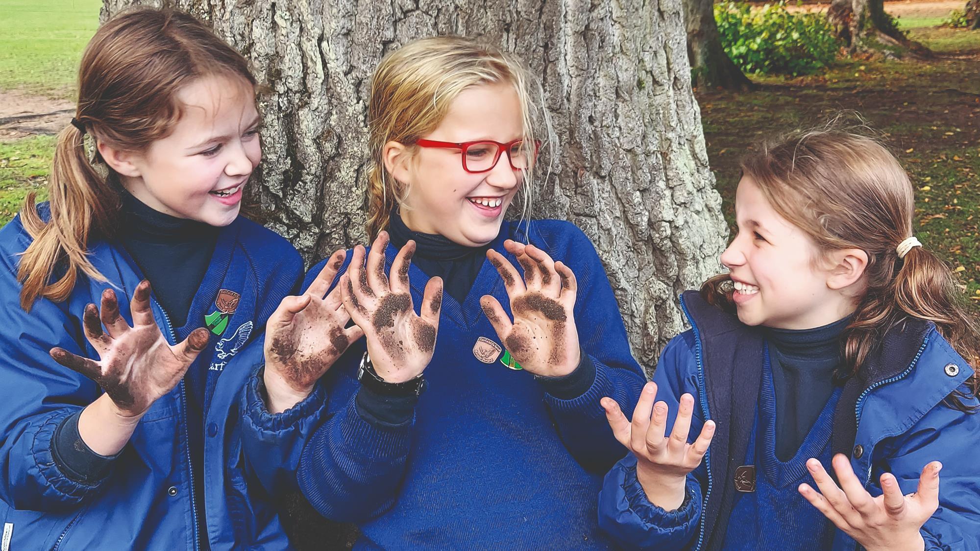 Case Study: how a treehouse at Barfield School in Surrey has ...