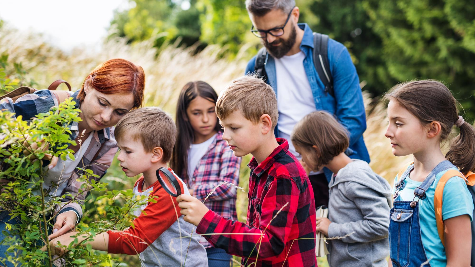 Learning Outside the Classroom: why it should be a professional ...