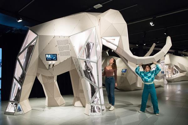 Science behind fossil discovery explored at Giants exhibition | Event ...