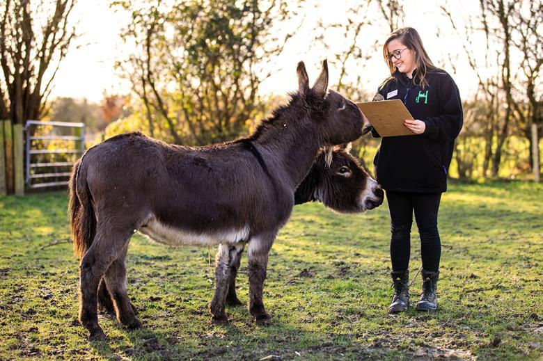 Schools to be welcomed with animals at new Hobbledown Heath attraction ...